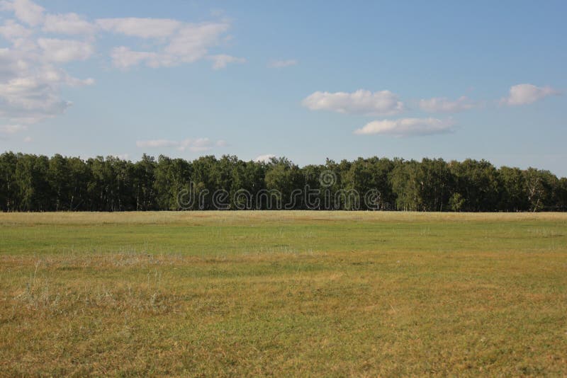 Landscape with Field Near Forest 18277 Stock Image - Image of field ...