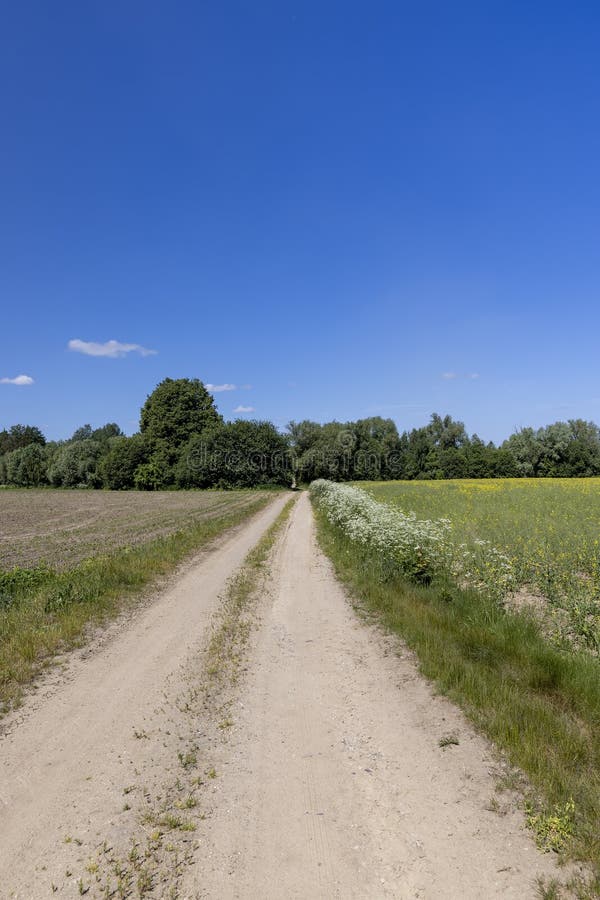 A Landscape in a Field with a Road without Asphalt Stock Photo - Image ...