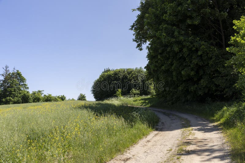 A Landscape in a Field with a Road without Asphalt Stock Photo - Image ...
