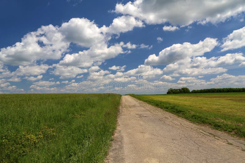 Landscape. Field Road among Meadows and Fields Stock Photo - Image of ...