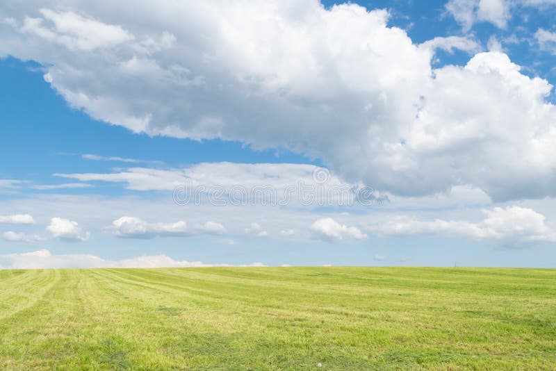 Mowed Field. Blue Sky and White Clouds. Rural Landscape Stock Photo ...