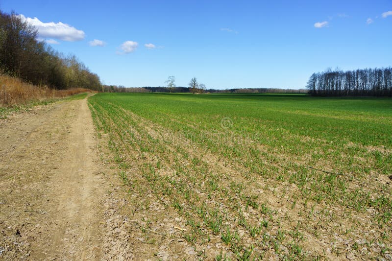 Landscape Field Tree, Three Trees in a Field, Spring Field Landscapes ...