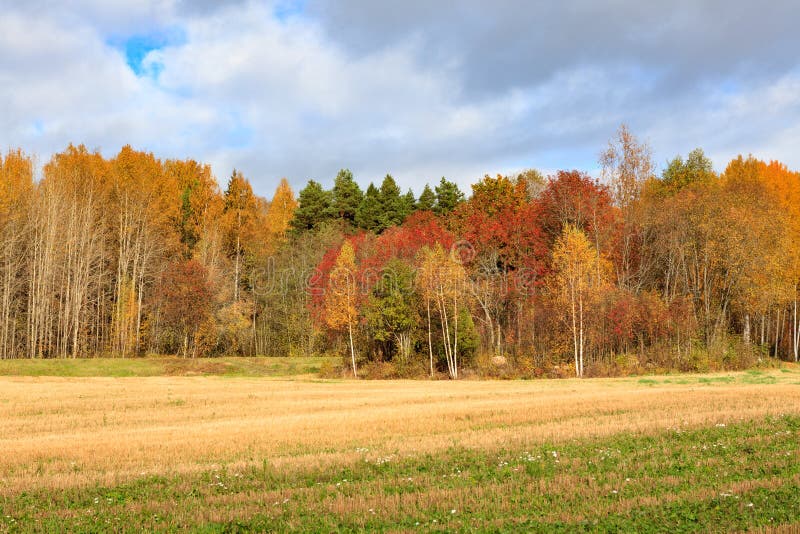Landscape Field Trees Autumn Colors Stock Photo - Image of tranquil ...