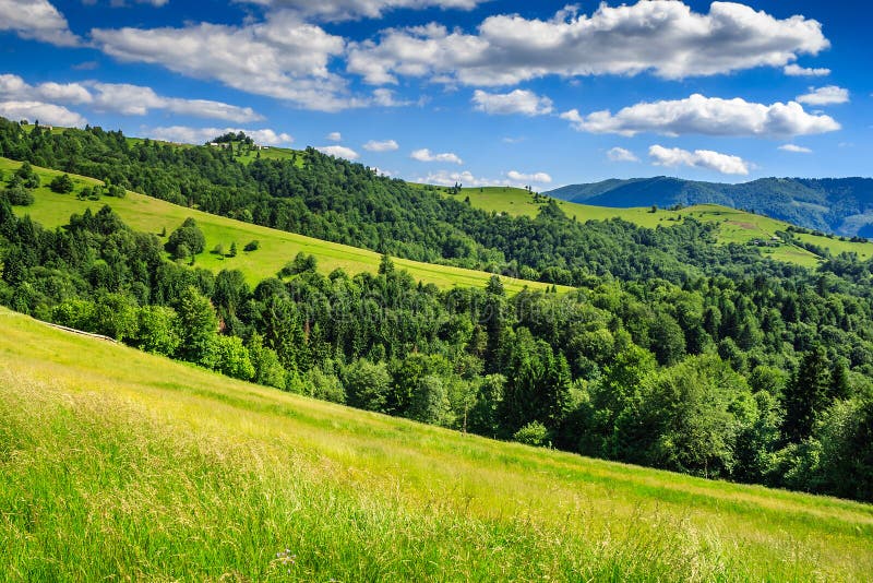 Landscape with Fields and Forest on Hillside Stock Photo - Image of ...