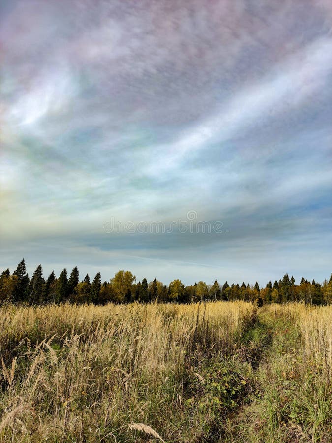Landscape of Fields and Forests in the Distance during the Autumn ...