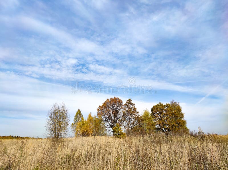 Landscape of Fields and Forests in the Distance during the Autumn ...