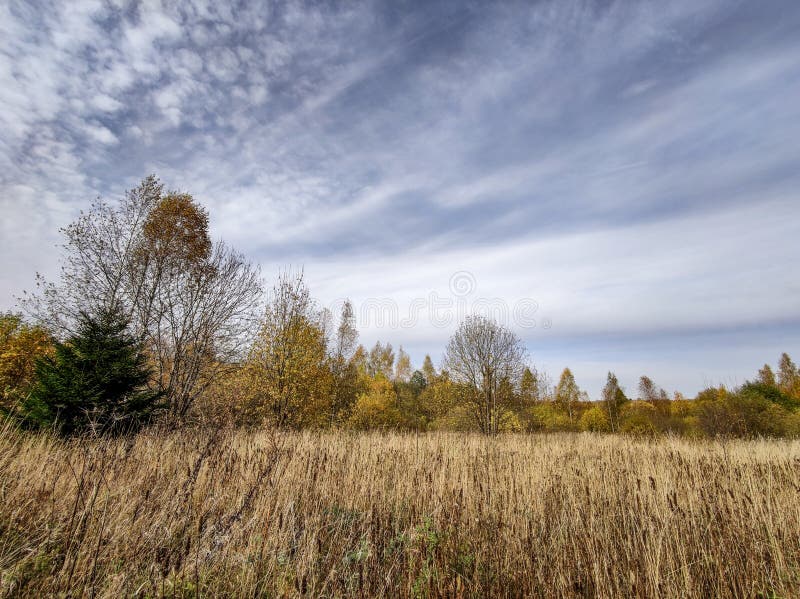 Landscape of Fields and Forests in the Distance during the Autumn ...