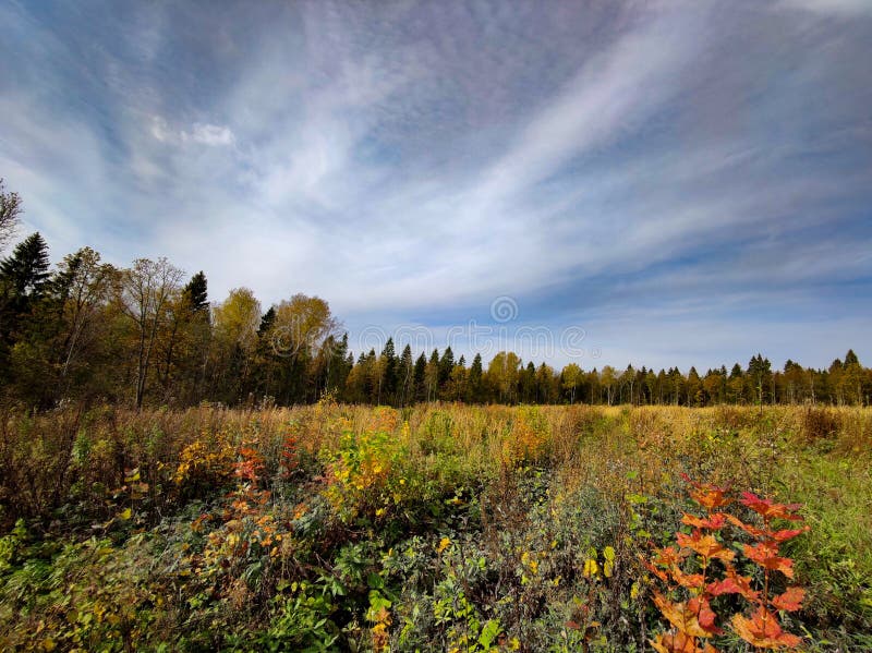 Landscape of Fields and Forests in the Distance during the Autumn ...