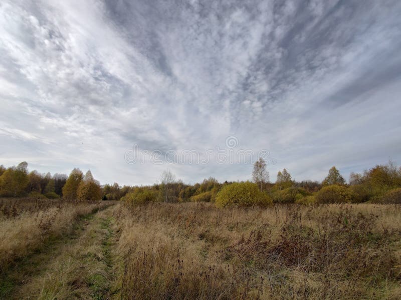 Landscape of Fields and Forests in the Distance during the Autumn ...