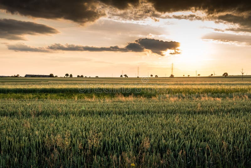 Sun over field horizon stock image. Image of summer - 124362063
