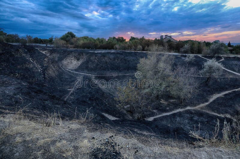 Landscape after the Fire with Burnt Forest Stock Photo - Image of ...