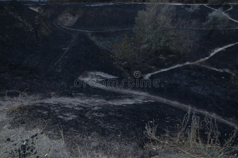 Landscape after the Fire with Burnt Forest Stock Photo - Image of ...