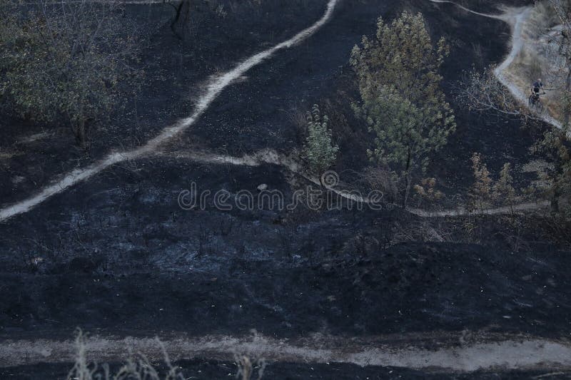 Landscape after the Fire with Burnt Forest Stock Photo - Image of ...