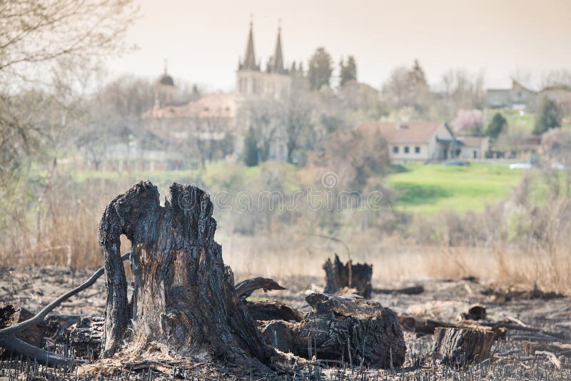 Landscape after fire stock image. Image of burnt, inferno - 38959649