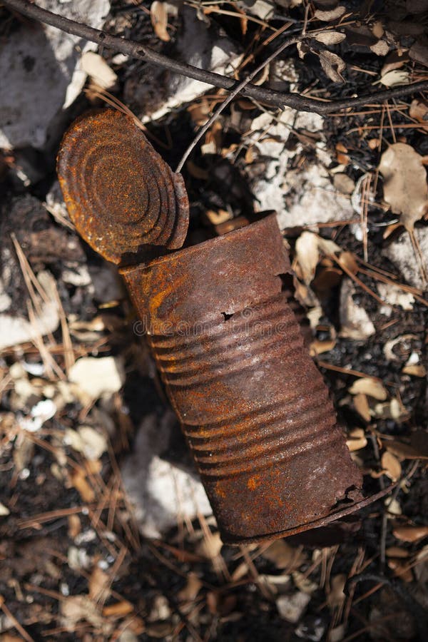 Landscape after a Fire in South of France Stock Photo - Image of burn ...