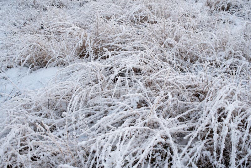 Landscape after the First Heavy Snowfall Stock Photo - Image of frost ...