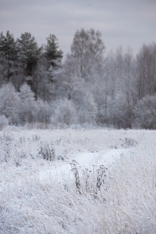 Landscape after the First Heavy Snowfall Stock Photo - Image of ...
