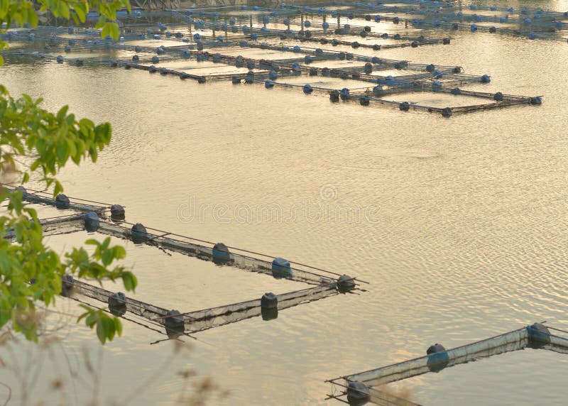 Landscape of Fish Farming Lake Stock Image - Image of farming ...