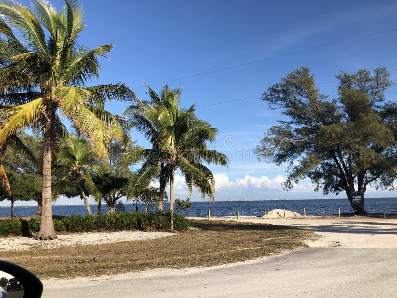 Landscape in Florida stock image. Image of landscape - 127611631