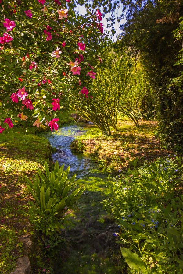 Landscape with Flowers and River in the Spring Stock Image - Image of ...