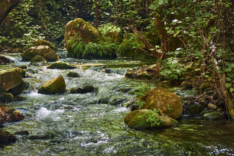 Landscape of Flowing Water in the River Stock Image - Image of rock ...