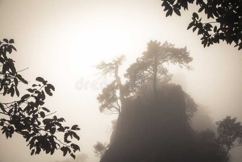 Landscape of Fog Mountains of China Stock Photo - Image of country ...
