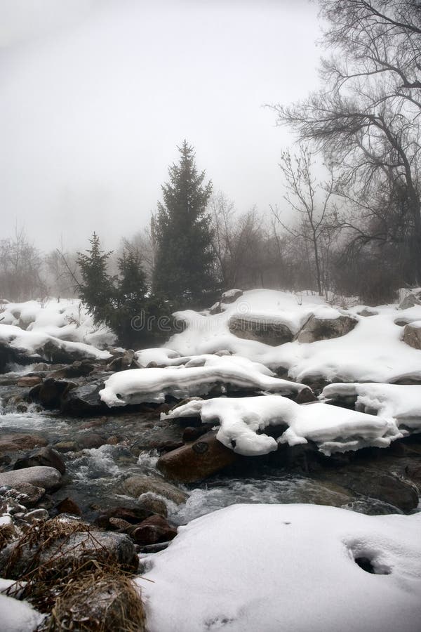 Spring fog. stock photo. Image of spring, light, mountains - 212238236