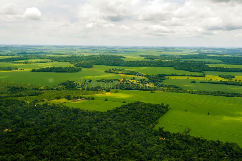 Landscape with Forest Fields with Farms Stock Image - Image of farm ...