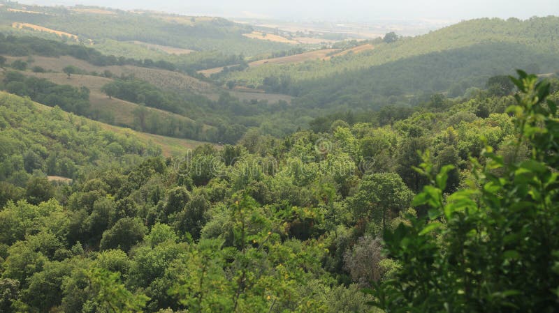 Landscape with Forest and Green Trees in the Hills of the Tuscan Stock ...