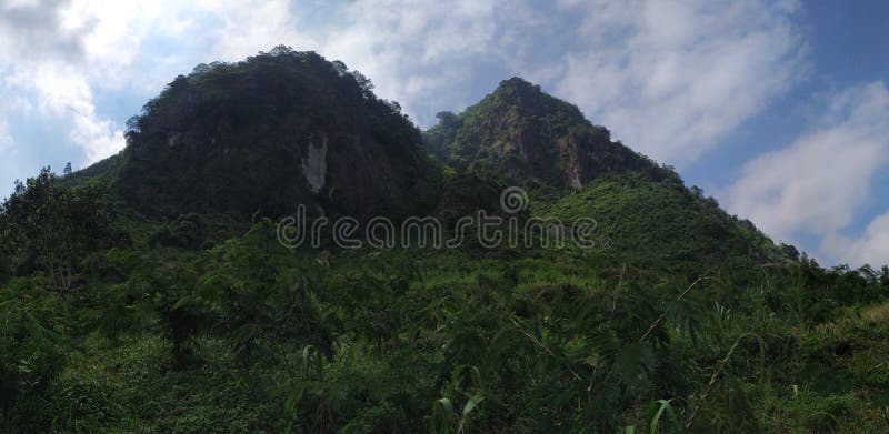 Forest Plateau in Castlerock, Goa State of India. Stock Image - Image ...