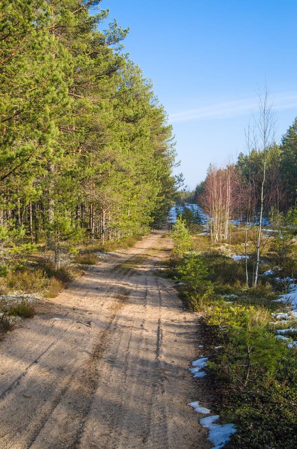 Landscape at the Forest Lake Stock Image - Image of cold, lake: 24150293