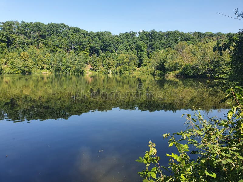 Landscape forest and sea stock image. Image of forest - 222569741