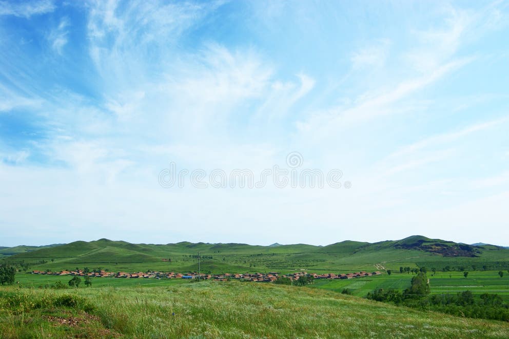 Landscape of forest-steppe stock image. Image of field - 21621273