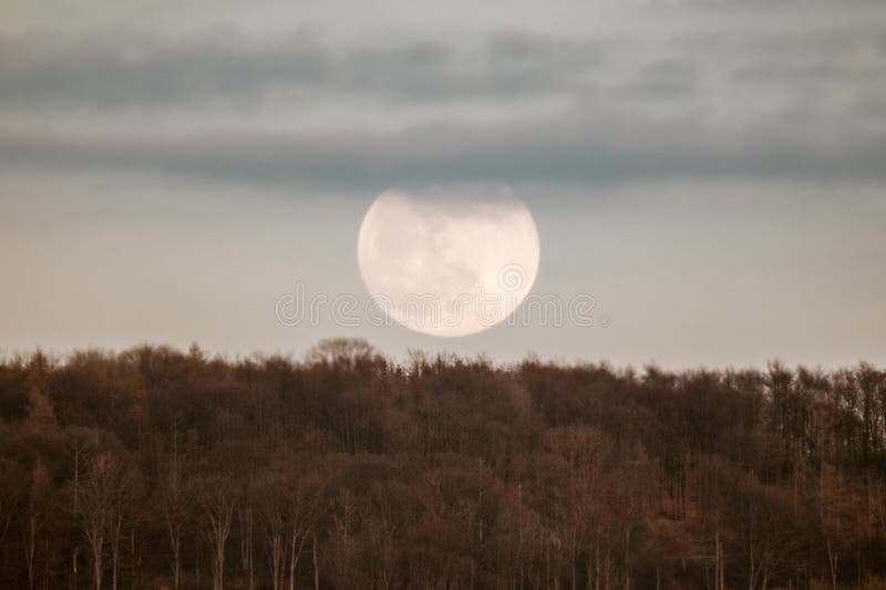 Landscape with Forest at Sunset and Very Big Full Moon Stock Image ...