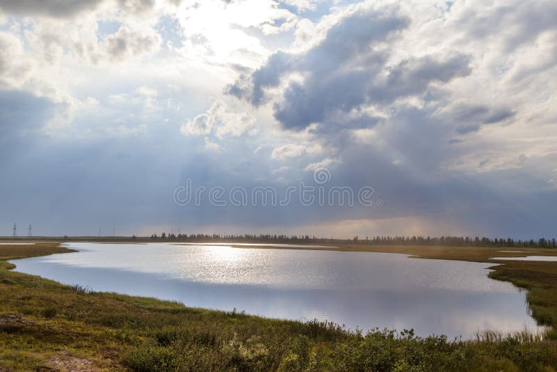 Landscape of the Forest-tundra and the Sandy River Bank Stock Photo ...