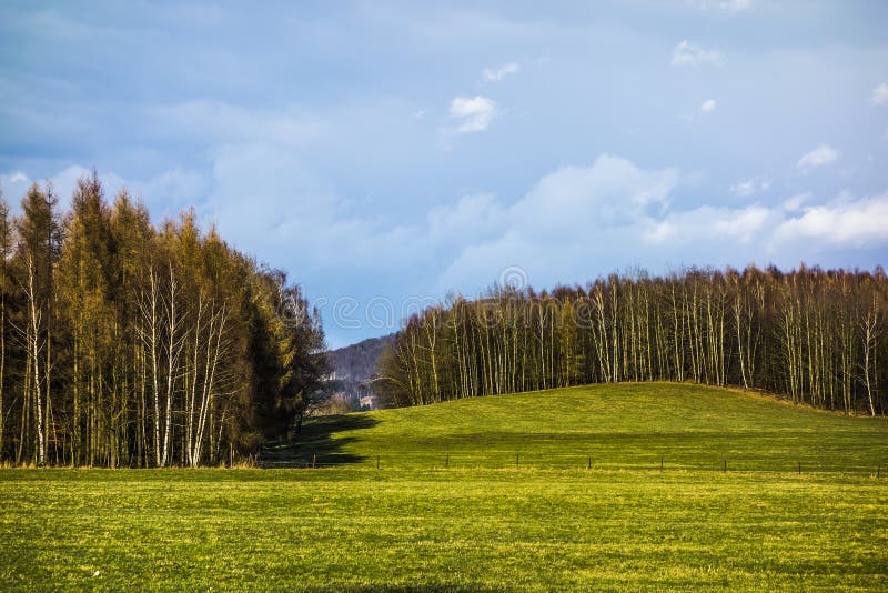 Landscape with forest stock image. Image of field, trip - 63111229