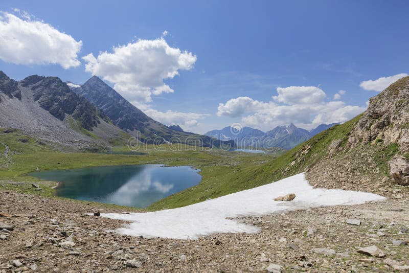 Formazza Valley stock photo. Image of outdoor, formazza - 209101024