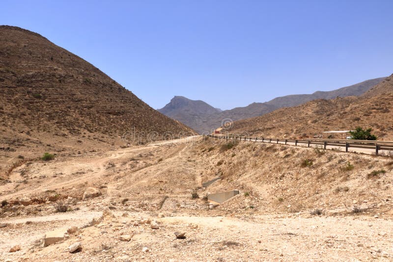 Landscape with Frankincense Trees in Dhofar Mountains, Oman Stock Image ...