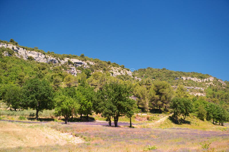 Landscape French Luberon stock image. Image of lavender - 40381829