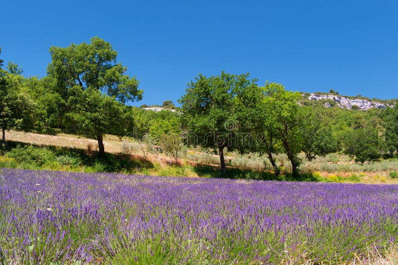 Landscape French Luberon stock image. Image of summer - 40583177
