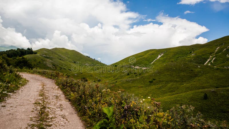 Landscape in the Gagra stock photo. Image of gagra, forest - 76621886