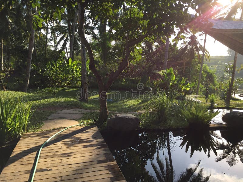 Landscape Garden Bali Style Stock Photo - Image of water, bali: 57440054