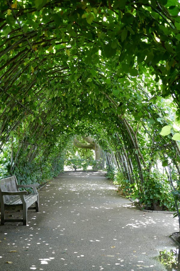 Garden walkway stock image. Image of garden, landscape - 144712019