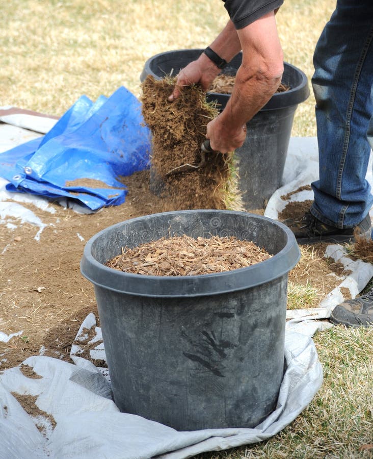 Landscape gardener. stock image. Image of planting, land - 24835455