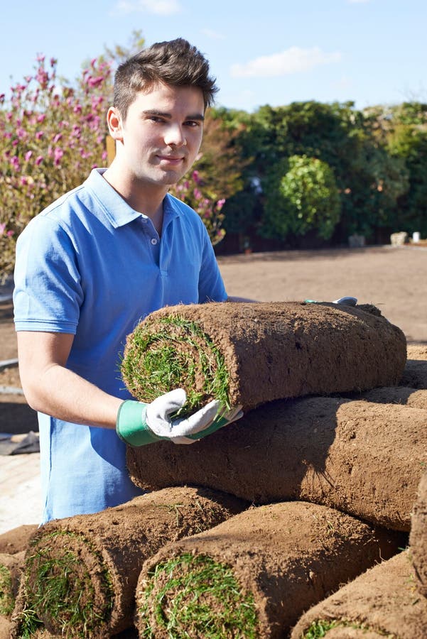 Landscape Gardener Laying Turf for New Lawn Stock Image - Image of ...