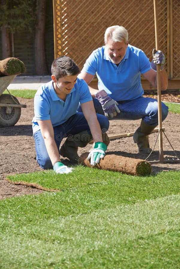 Landscape Gardeners Laying Turf for New Lawn Stock Image - Image of ...