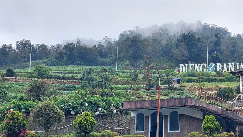 Landscape Gardens and Parks of the Dieng Indonesia Tourism Complex ...