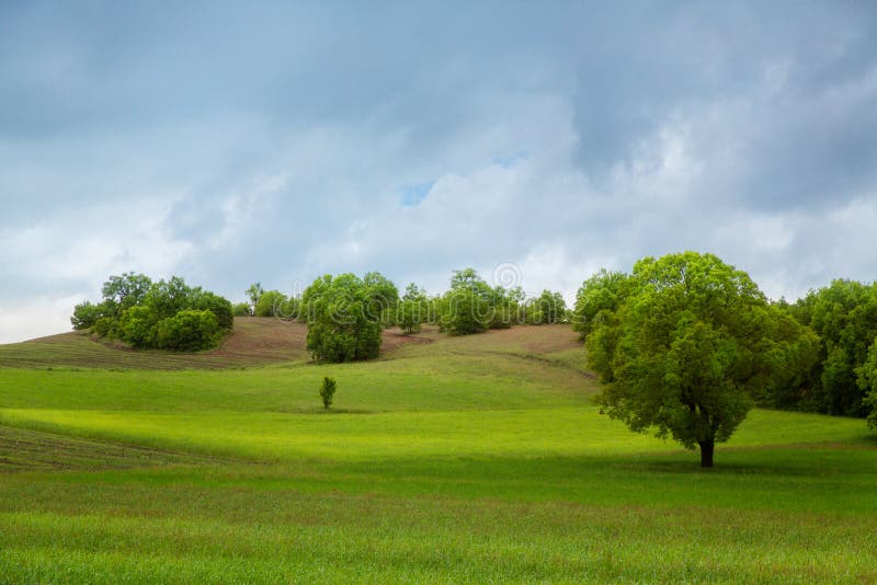 Landscape of the German Countryside in Summer Stock Photo - Image of ...