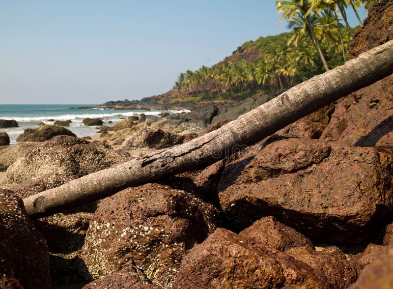 Landscape in Goa stock photo. Image of landscapes, beach - 29266766