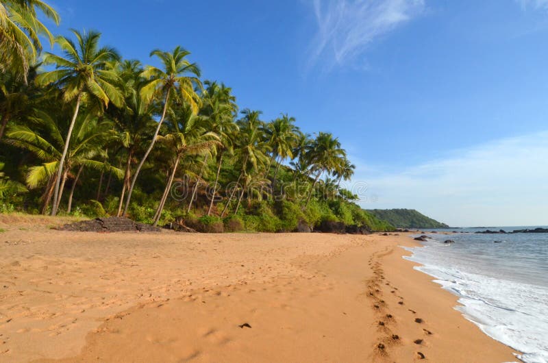 Landscape goa stock image. Image of leaf, wave, beach - 37827581